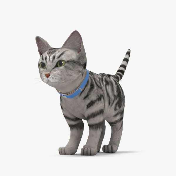 cat 3d model