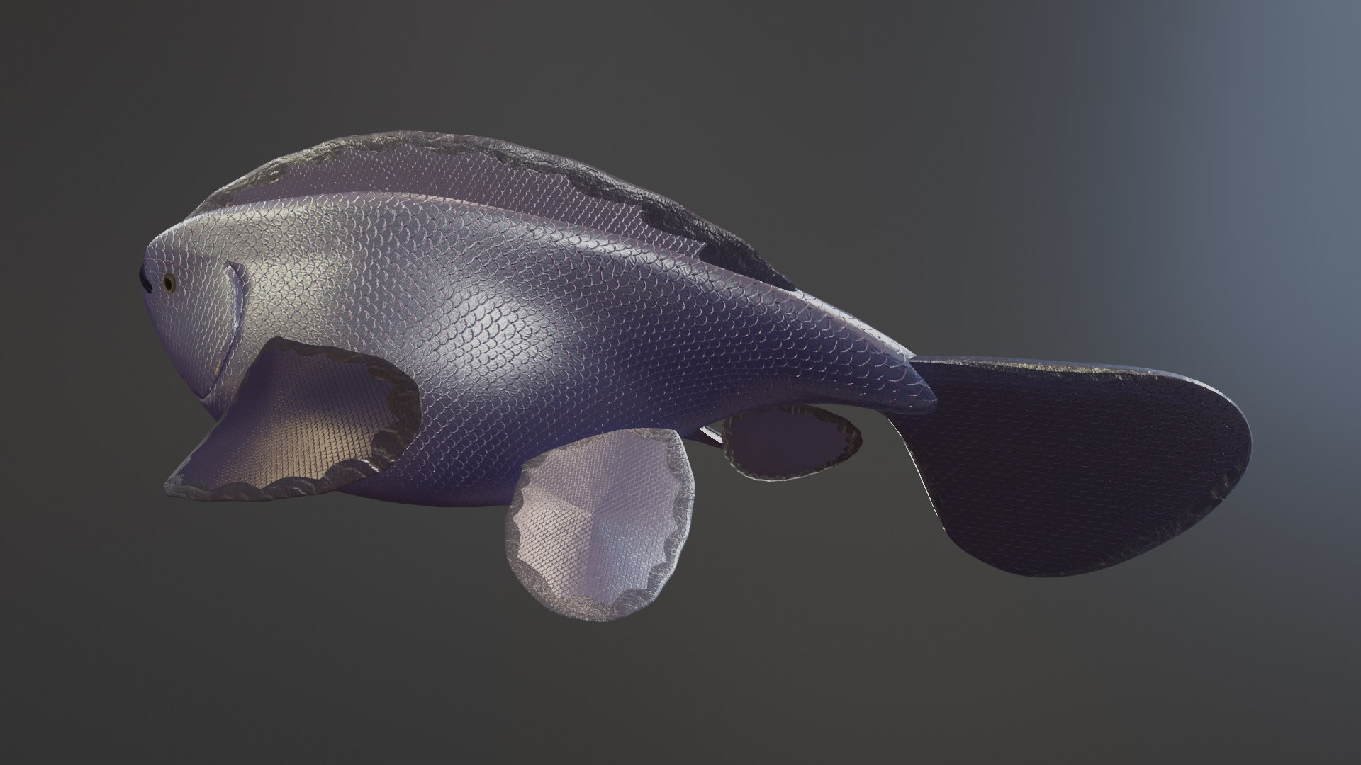 THE SECOND FISH 3D Model - TurboSquid 1873162