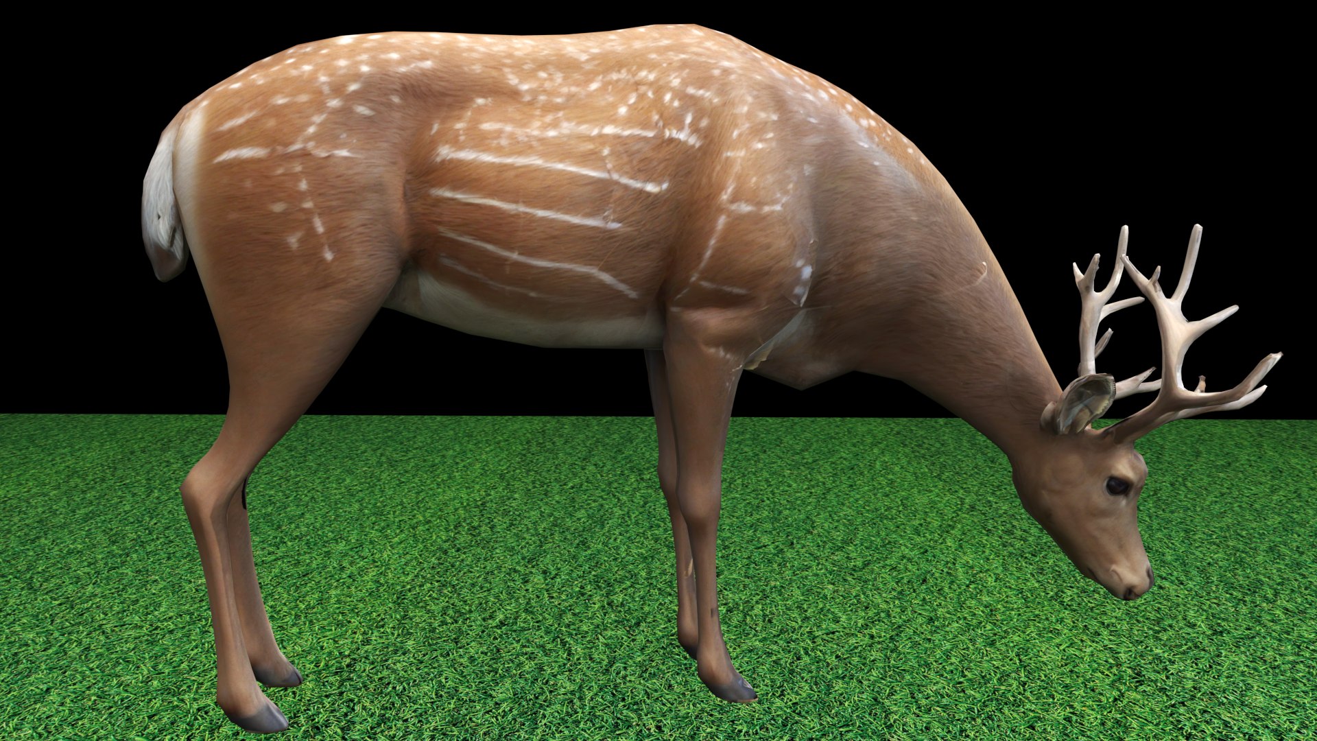 Realistic Deer 3D Model 3D - TurboSquid 2400330
