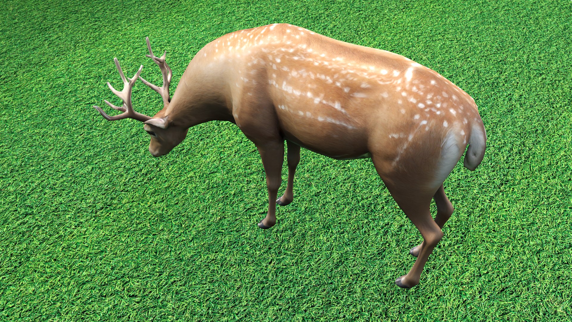 Realistic Deer 3D Model 3D - TurboSquid 2400330