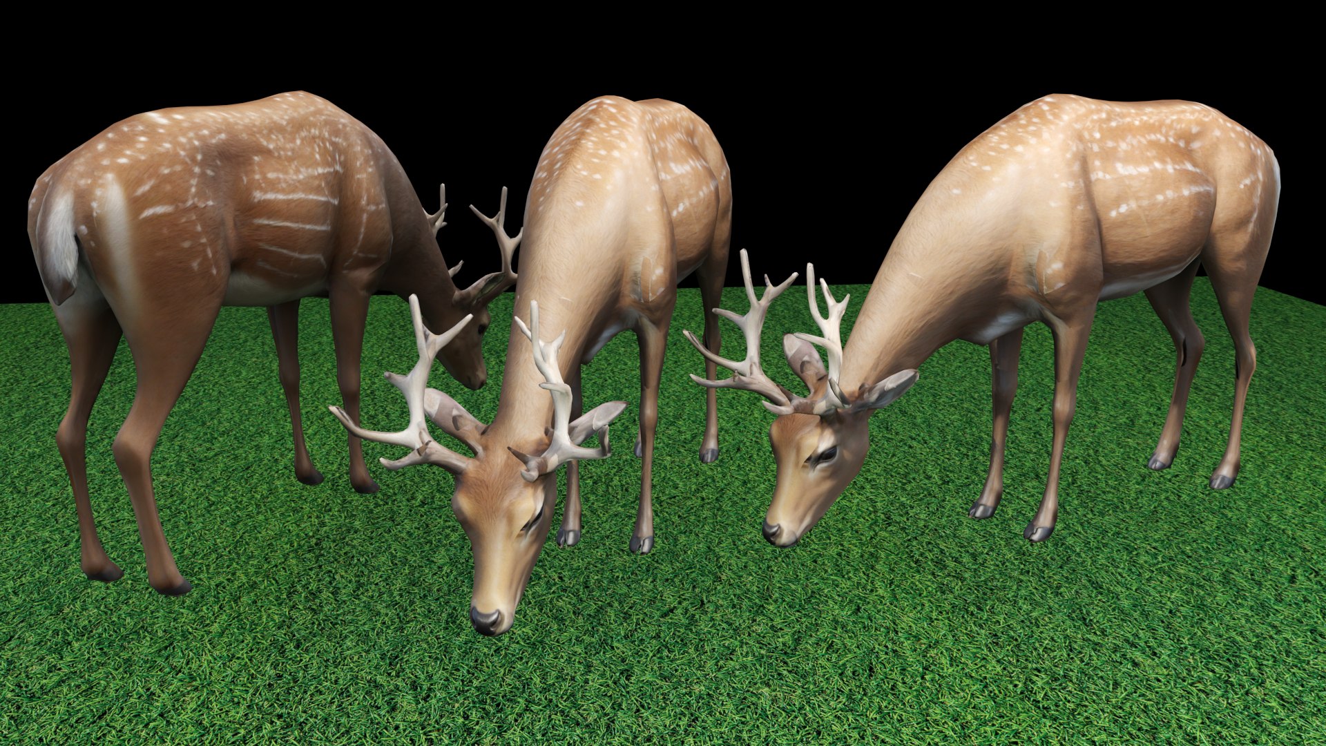 Realistic Deer 3D Model 3D - TurboSquid 2400330