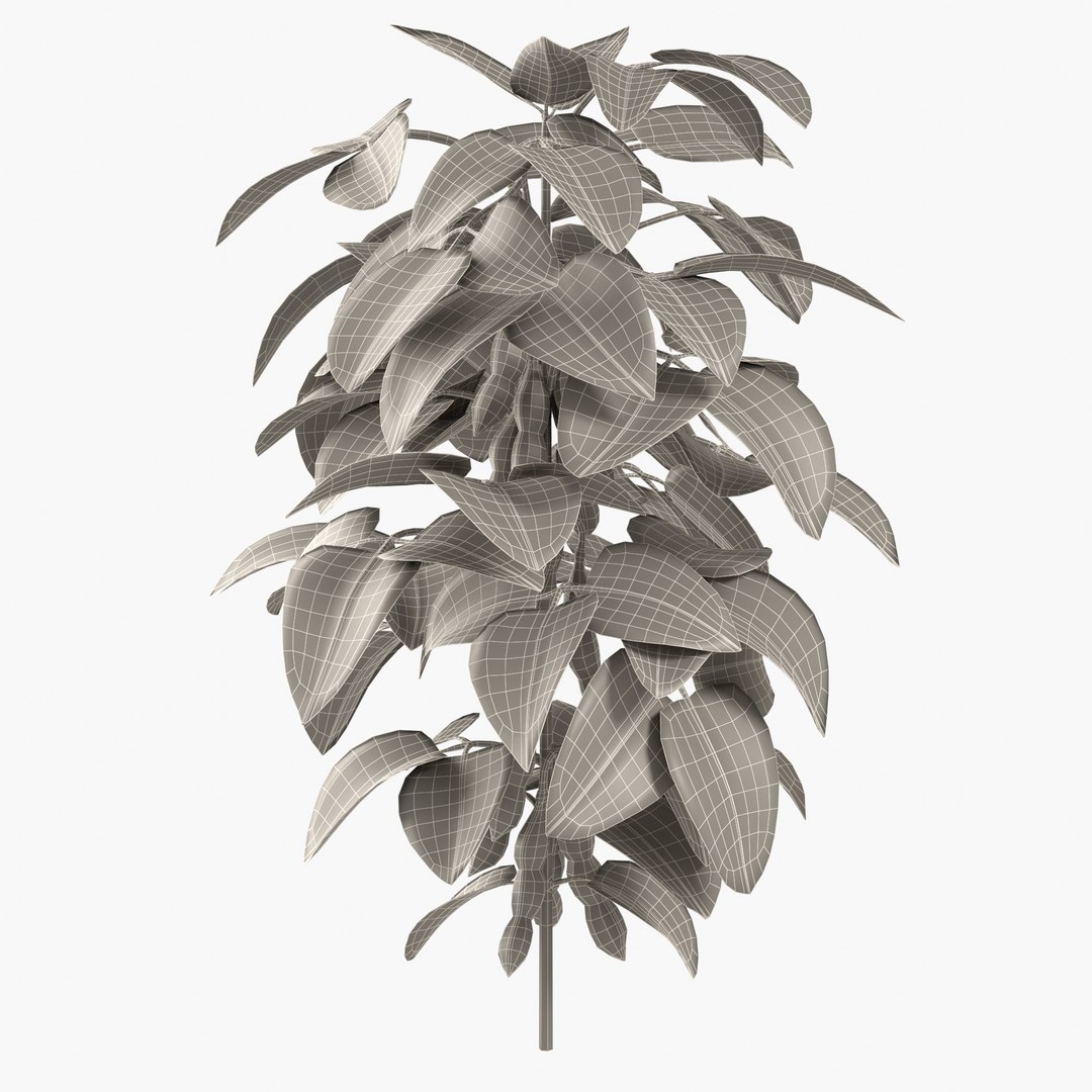 3D Soybean Plant - TurboSquid 1609308