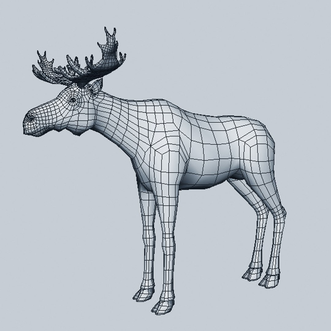 3d Model Moose Animals