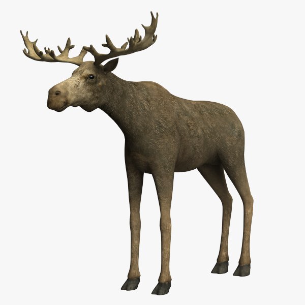 modelo 3d Alce - TurboSquid 470362