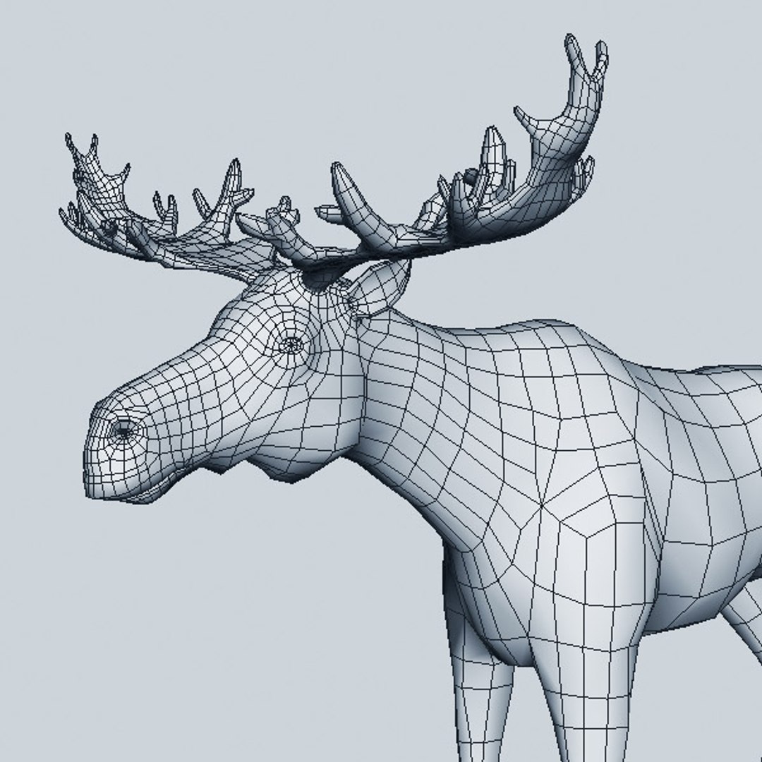 3d Model Moose Animals