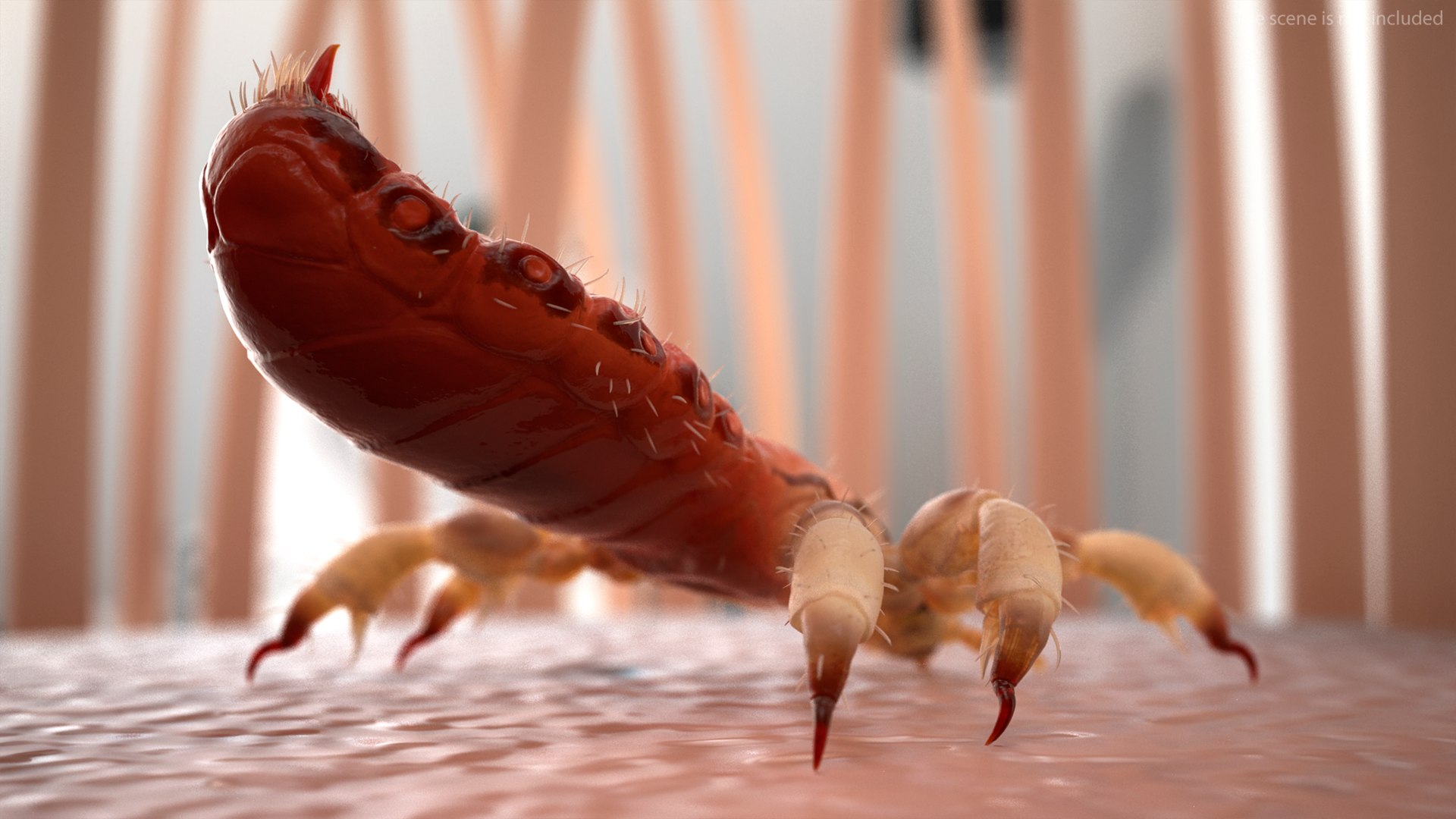 Parasitic Insect Louse With Blood Rigged For Cinema 4D 3D Model ...