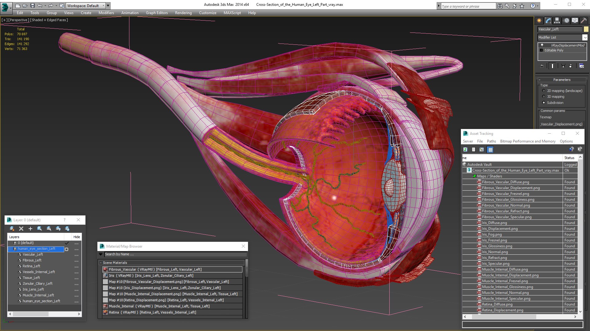 Cross-section human eye left model - TurboSquid 1513423