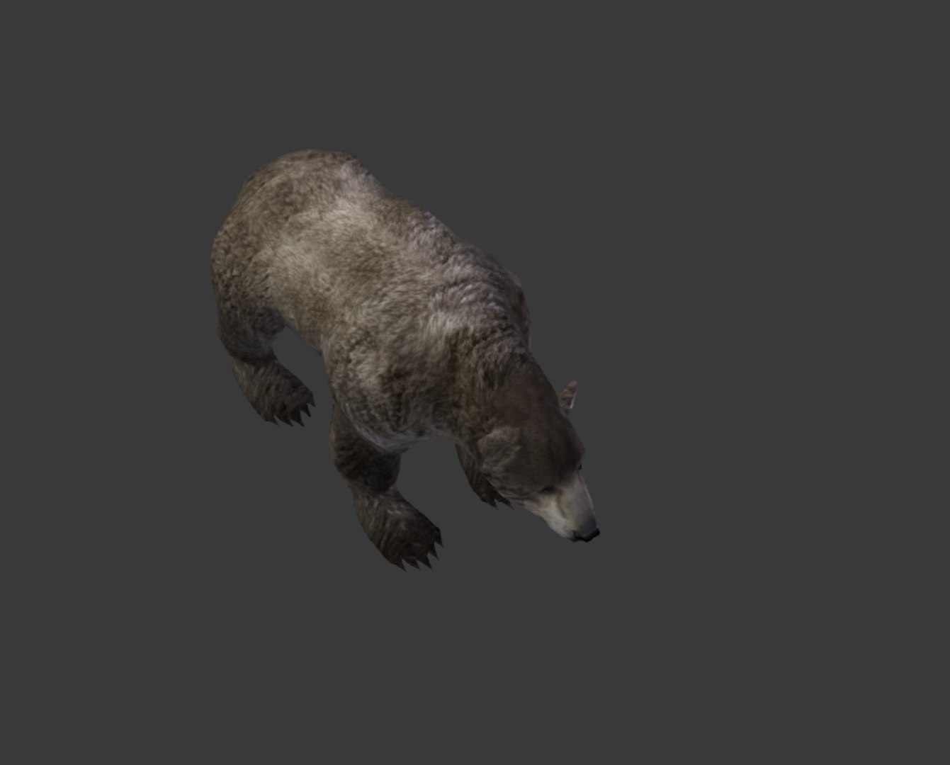 3d dark bear model