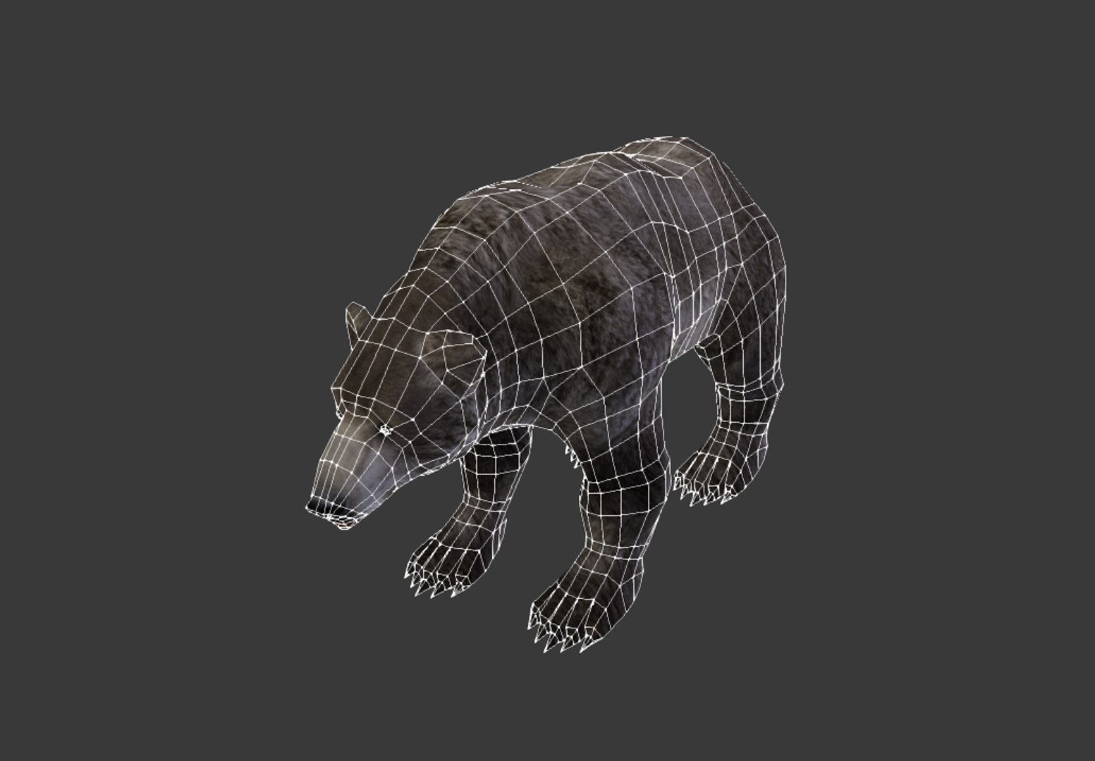 3d dark bear model