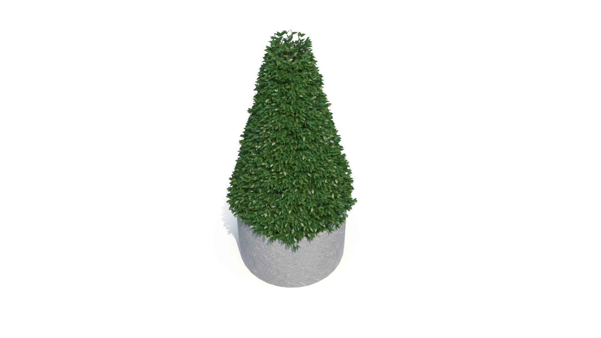 Buxus Pyramid Plant Pot 3D - TurboSquid 1489557