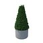 Buxus Pyramid Plant Pot 3D - TurboSquid 1489557
