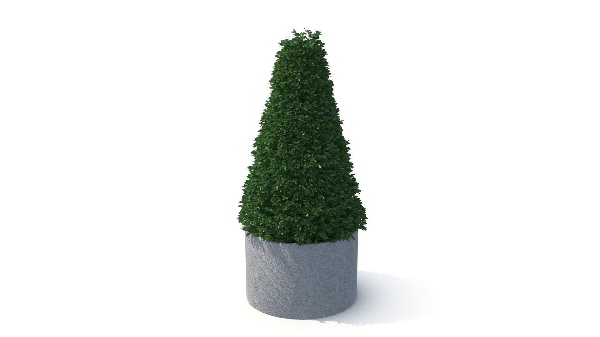 Buxus Pyramid Plant Pot 3D - TurboSquid 1489557