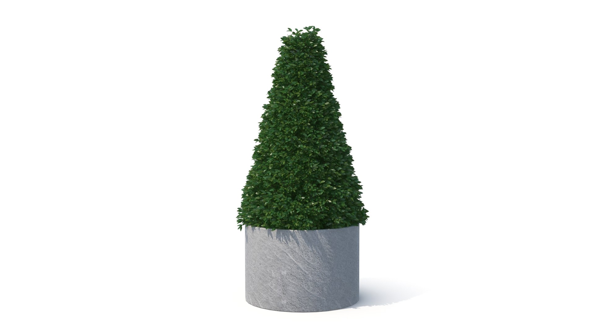 Buxus Pyramid Plant Pot 3D - TurboSquid 1489557