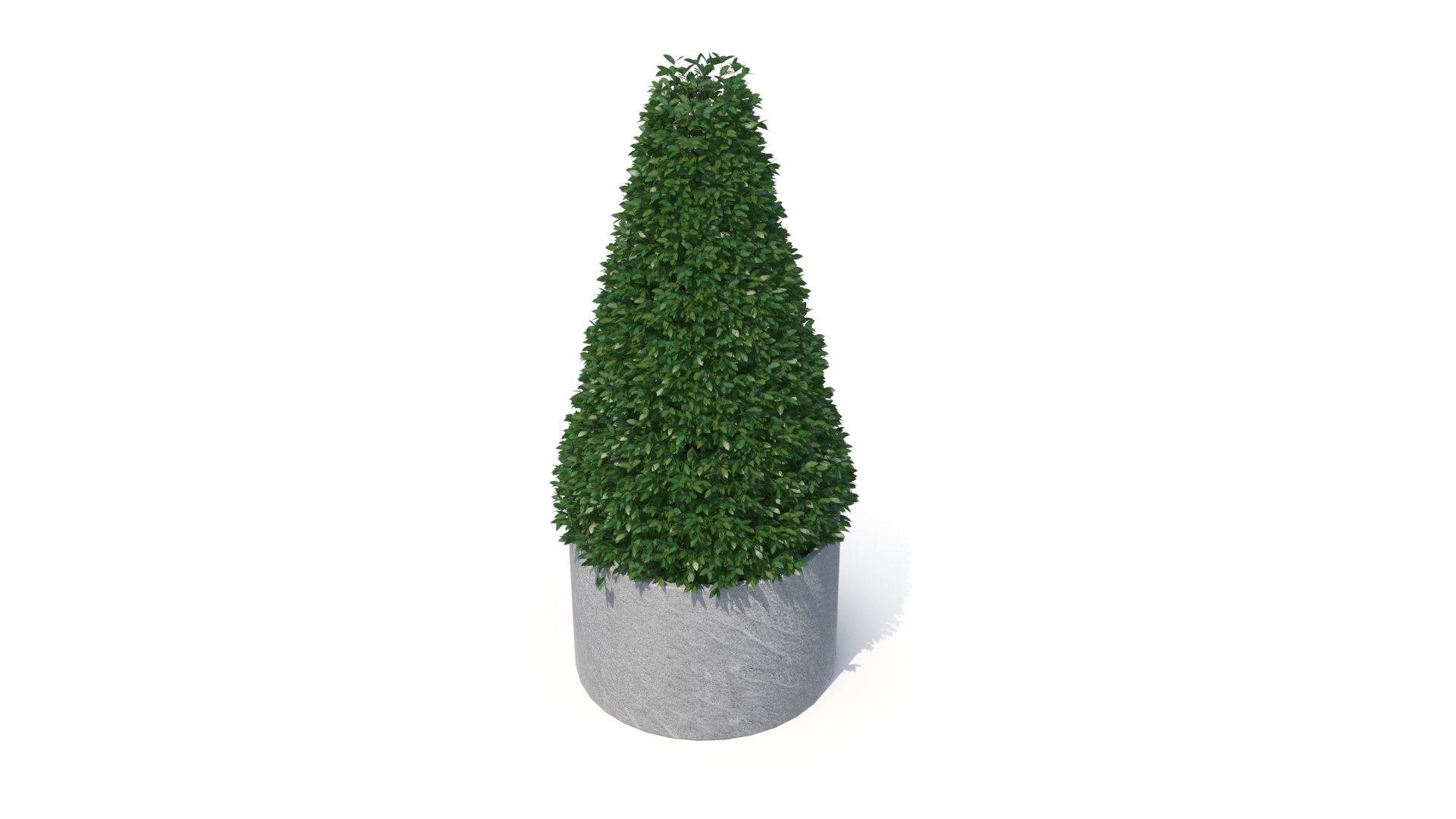 Buxus Pyramid Plant Pot 3D - TurboSquid 1489557