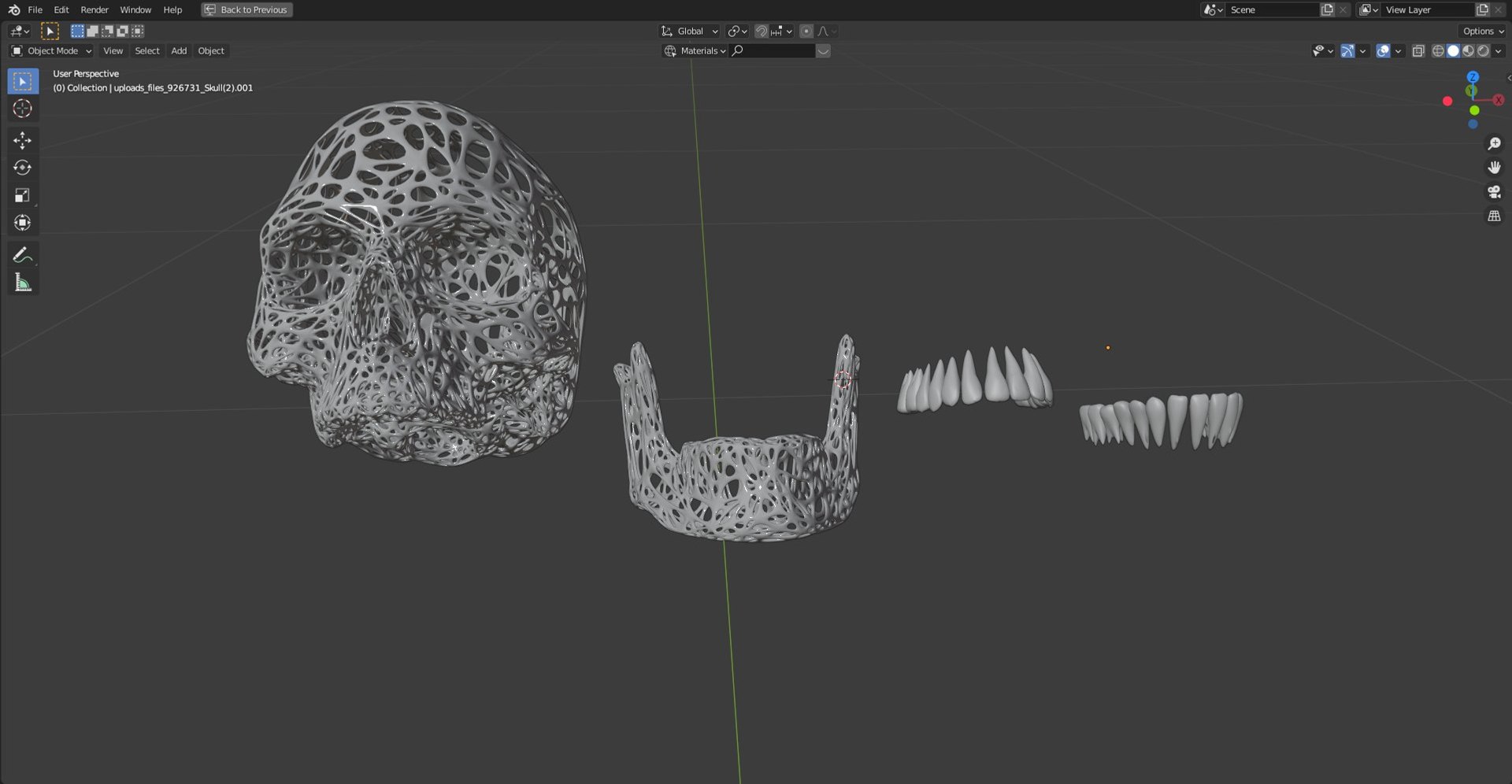 Skull Science Anatomy 3D Model - TurboSquid 1682614