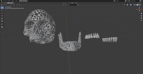 Skull science anatomy 3D model - TurboSquid 1682614