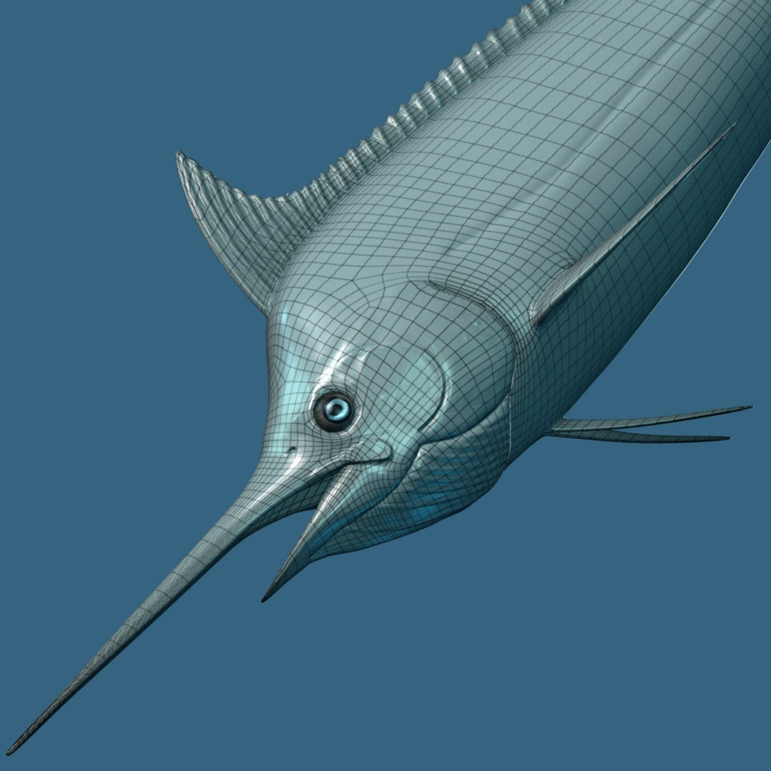 Blue Marlin Obj