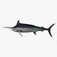 Blue Marlin Obj