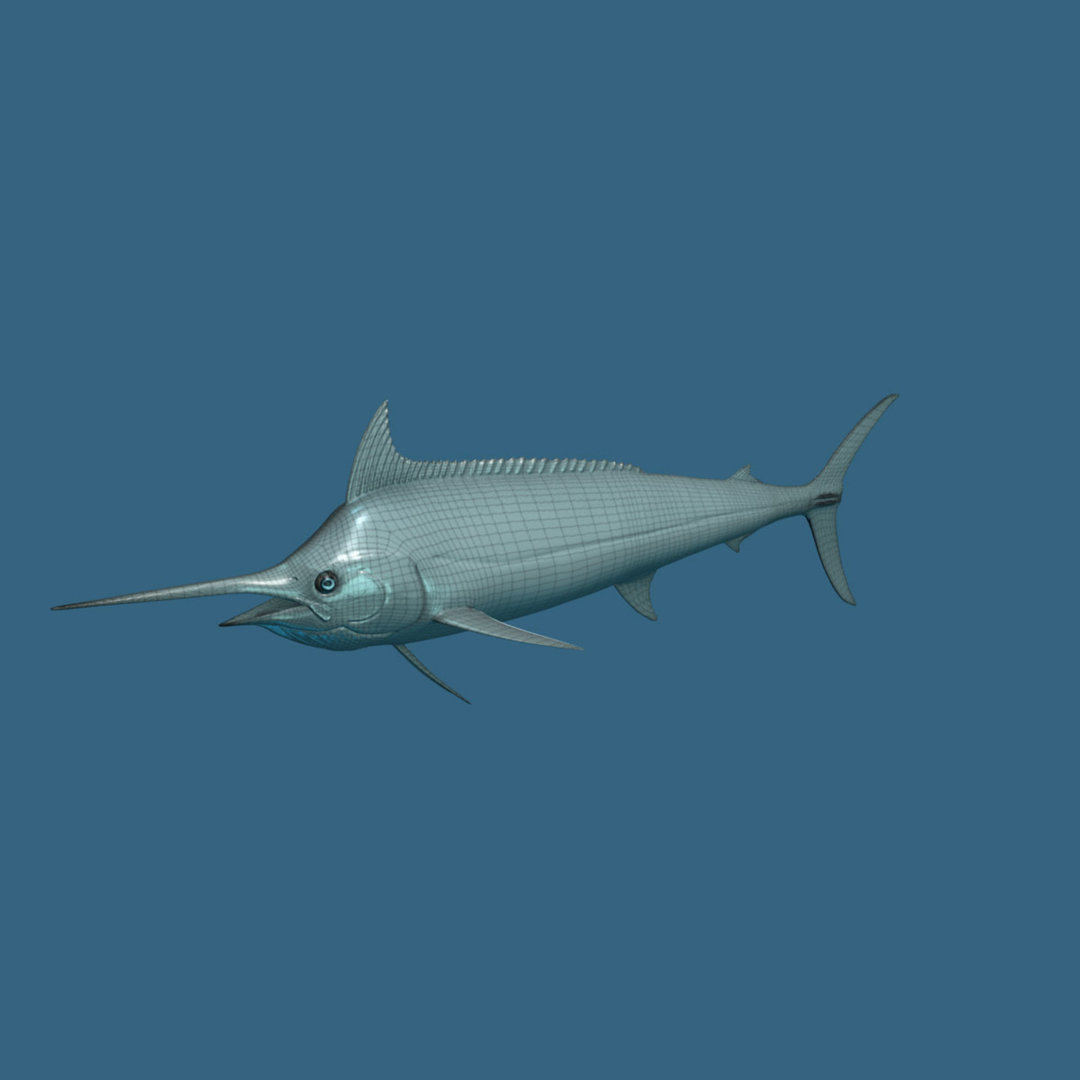 Blue Marlin Obj