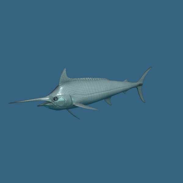 blue marlin obj