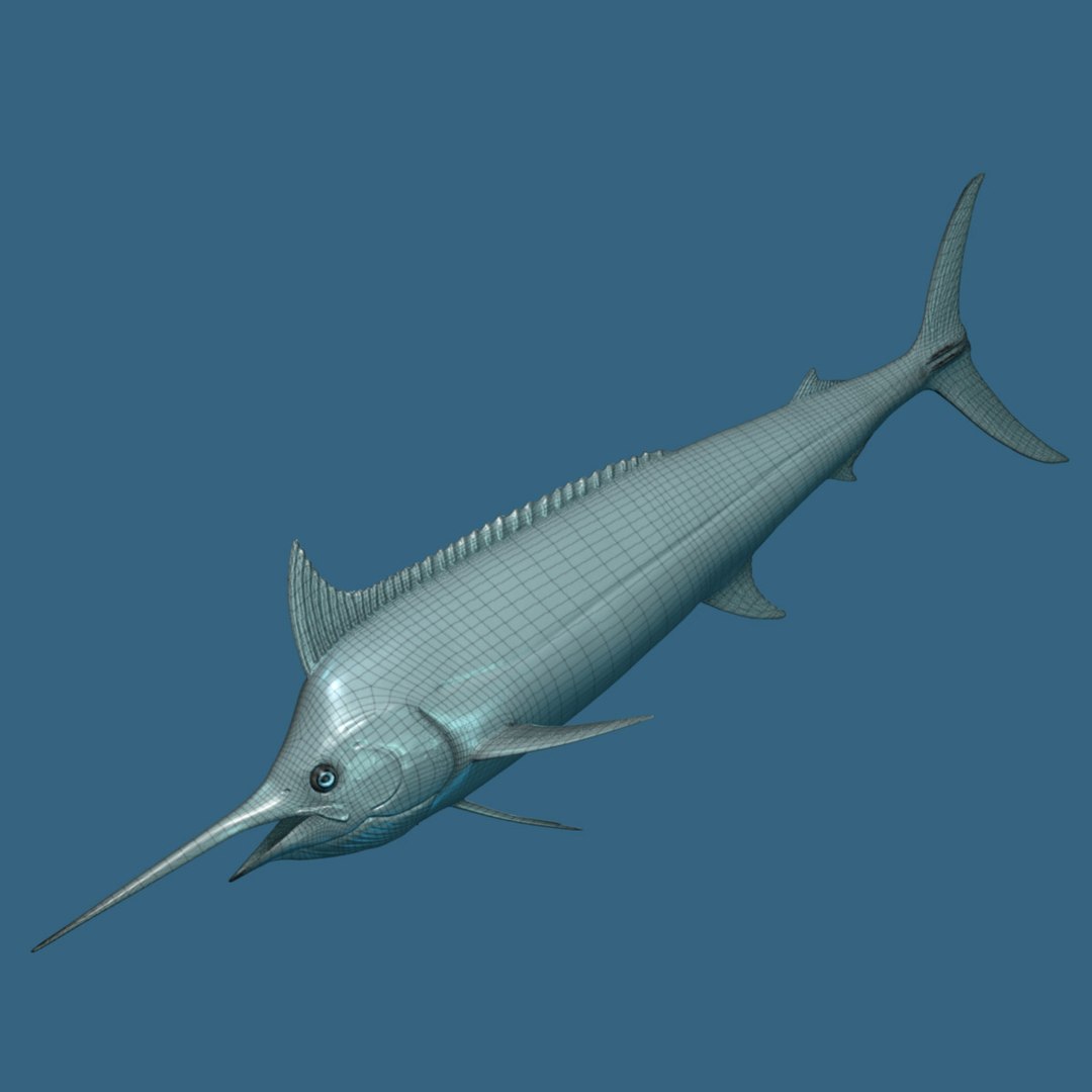 Blue Marlin Obj