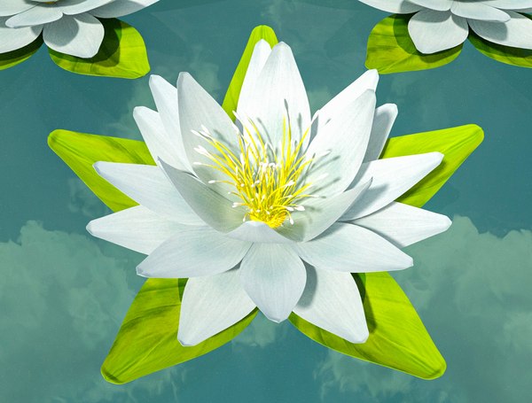 3D rigged white flower model - TurboSquid 1624890