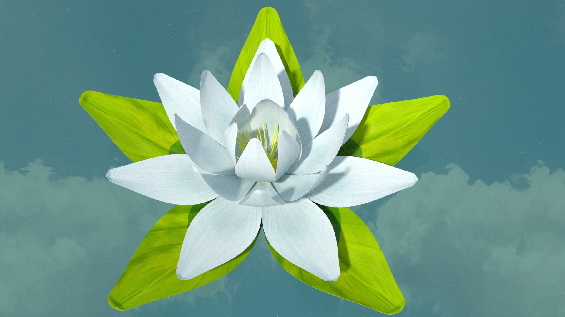 3D Rigged White Flower Model - TurboSquid 1624890