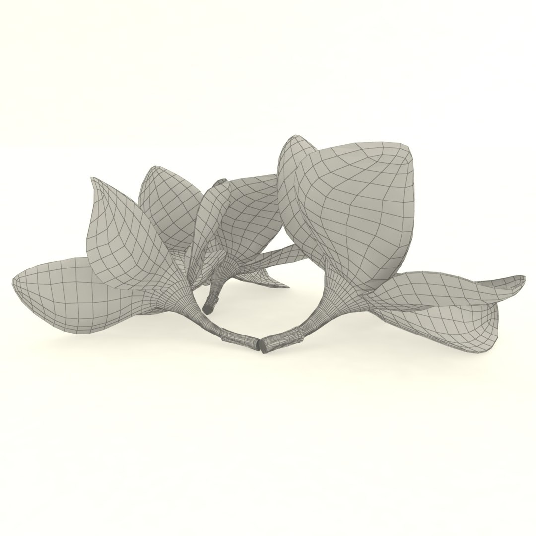 Plumeria Flowering Tree Model - TurboSquid 1664488