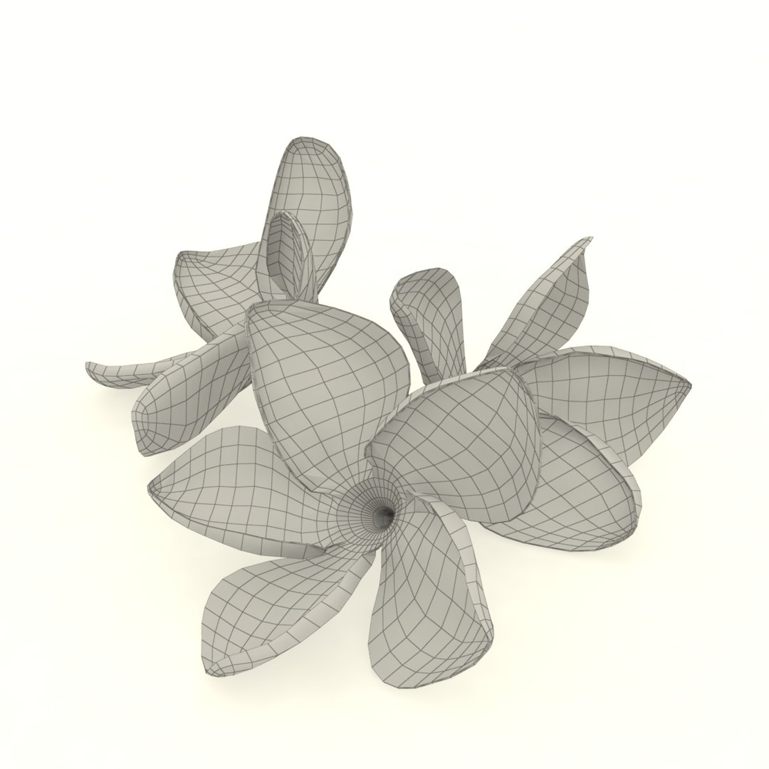 Plumeria Flowering Tree Model - TurboSquid 1664488