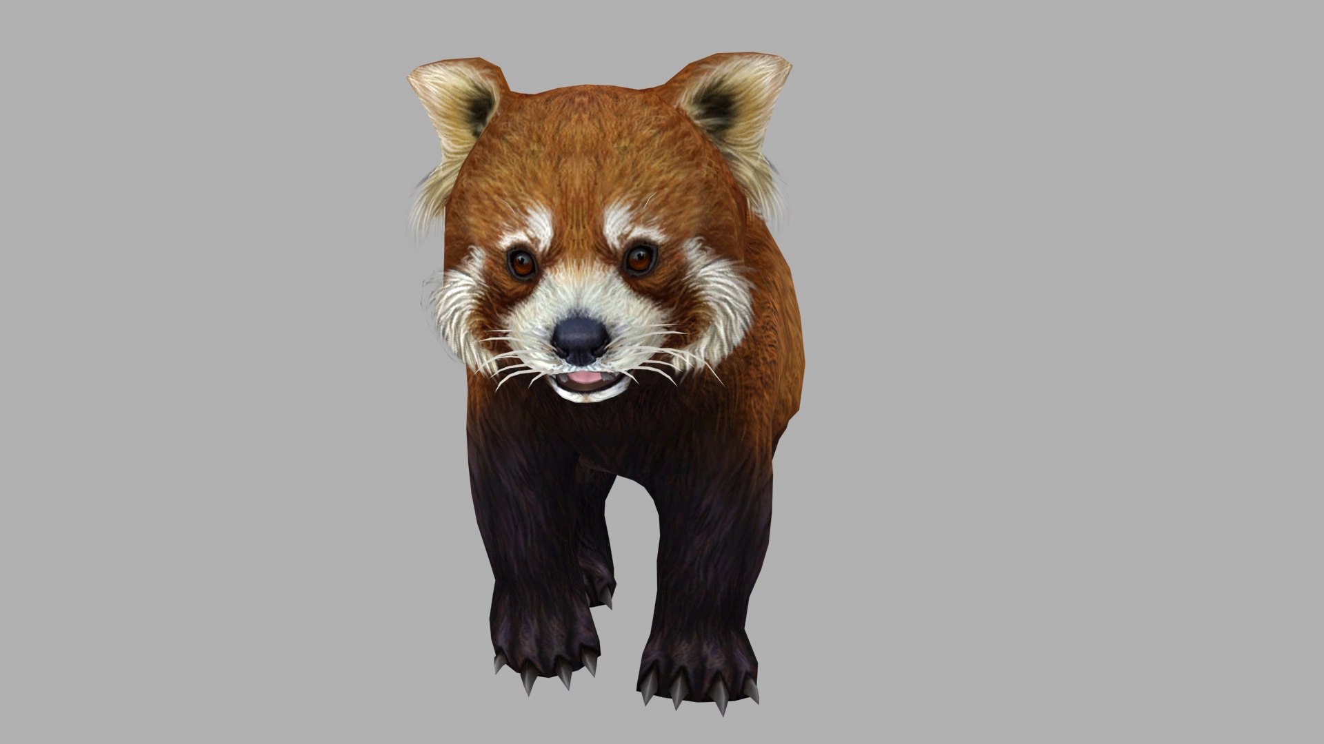 3D red panda model - TurboSquid 2176019