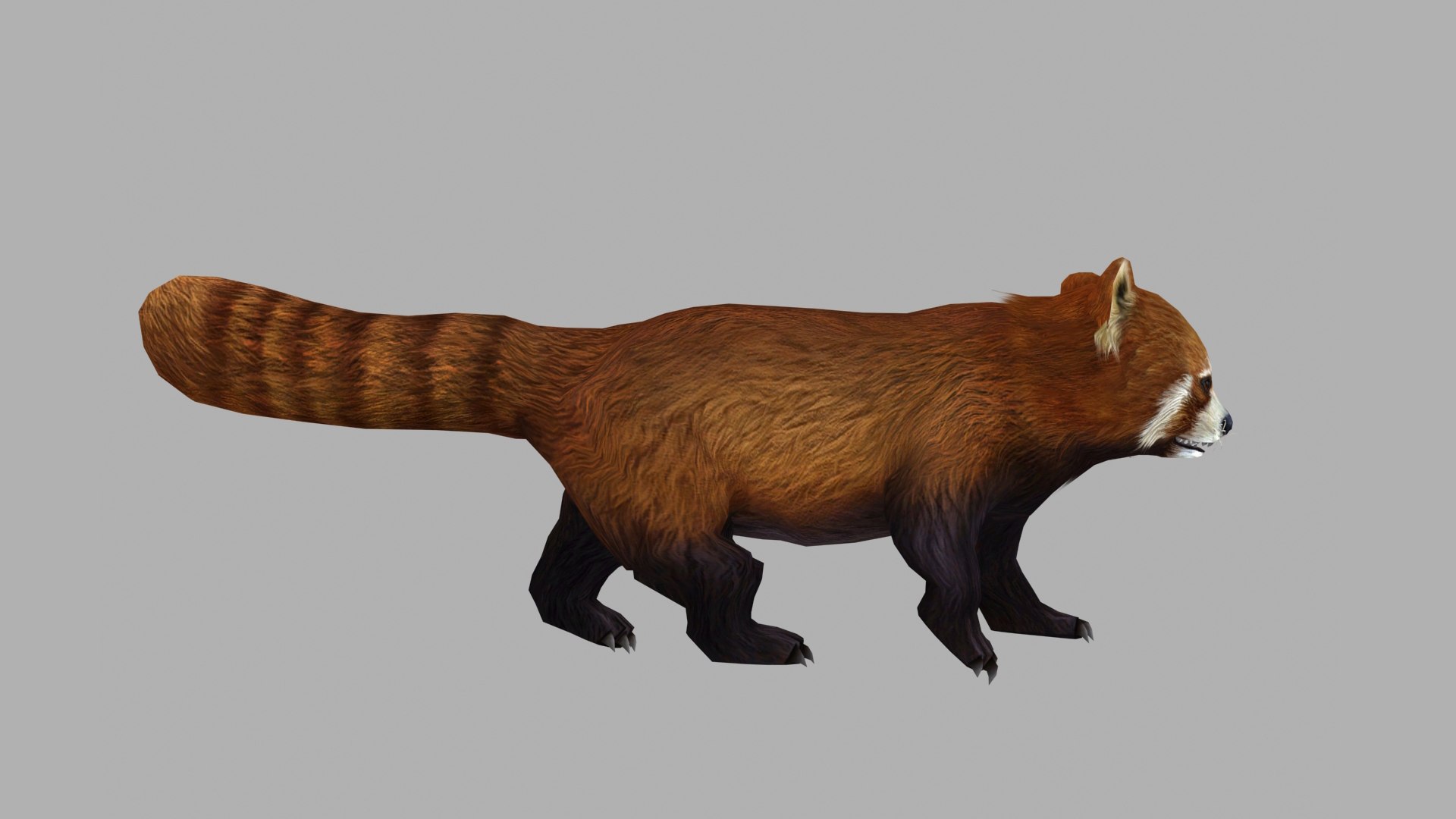 3D red panda model - TurboSquid 2176019