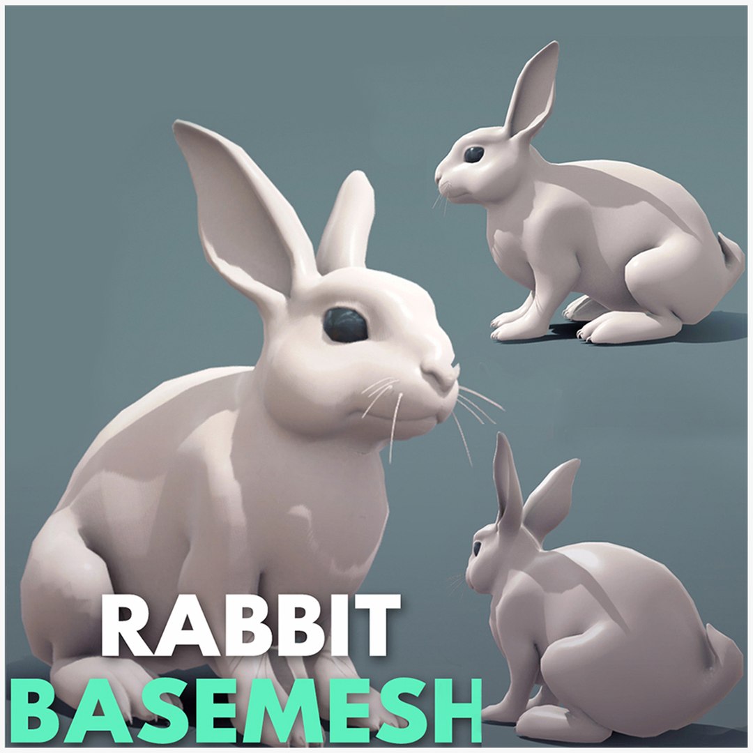 Rabbbit model - TurboSquid 2096596