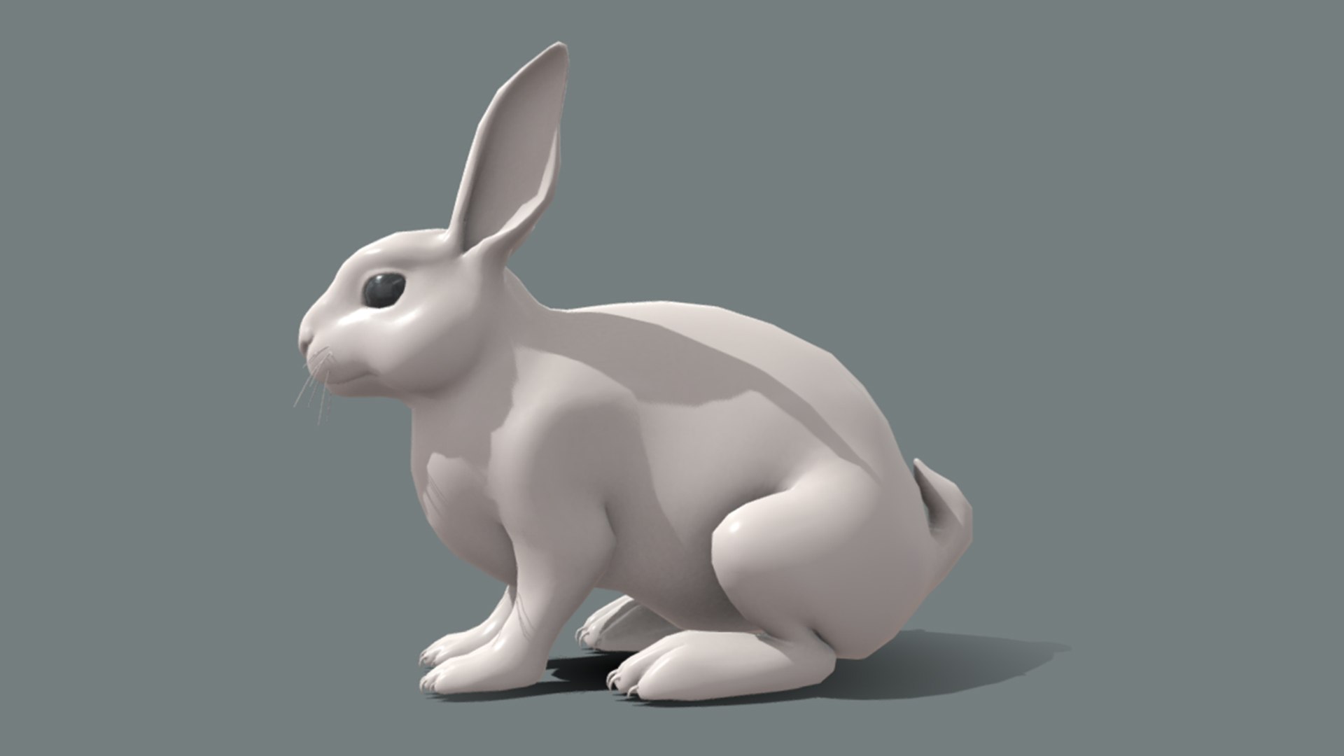 Rabbbit model - TurboSquid 2096596