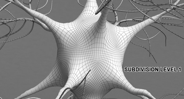 Motoric neuron 3D - TurboSquid 1216411
