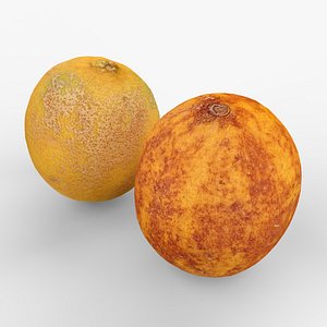 Blender Lemon Models | TurboSquid