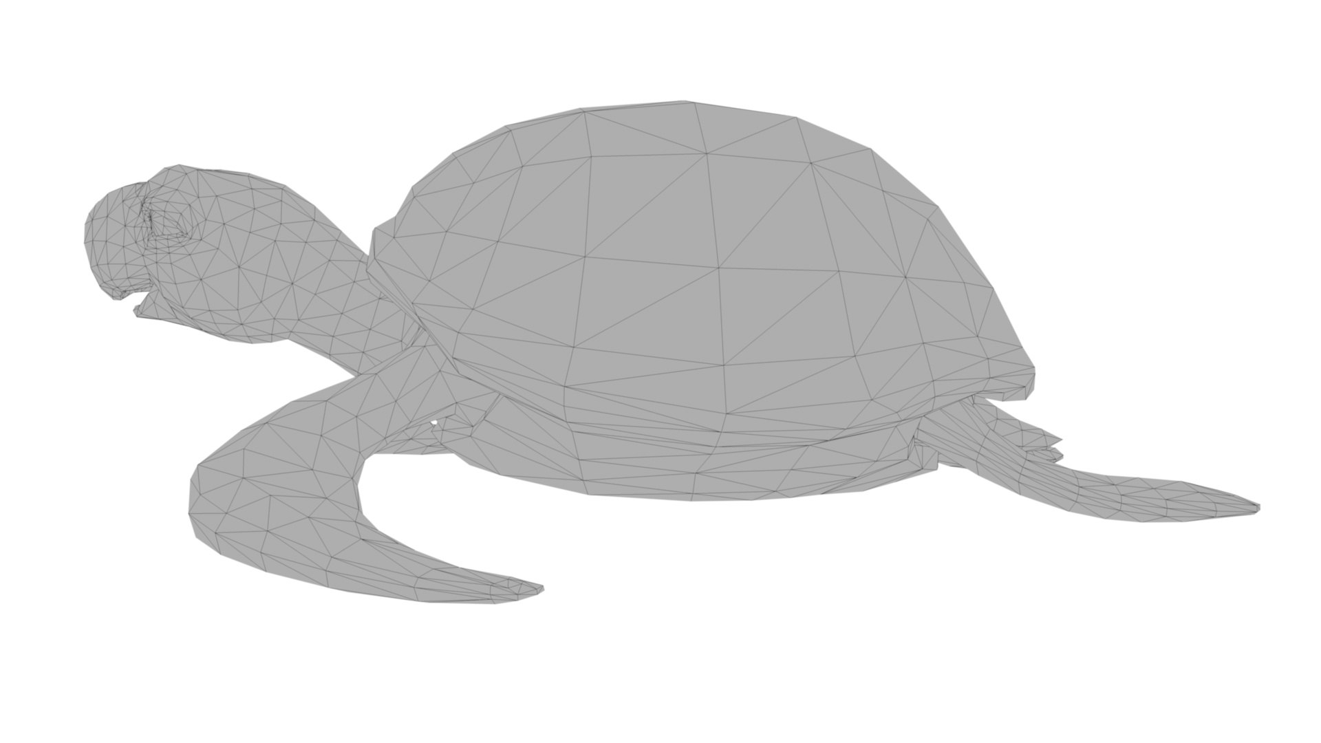 Sea Turtle Model - TurboSquid 1910561