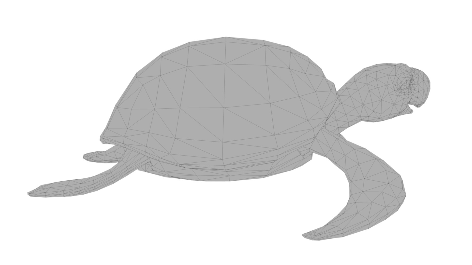 Sea Turtle Model - TurboSquid 1910561