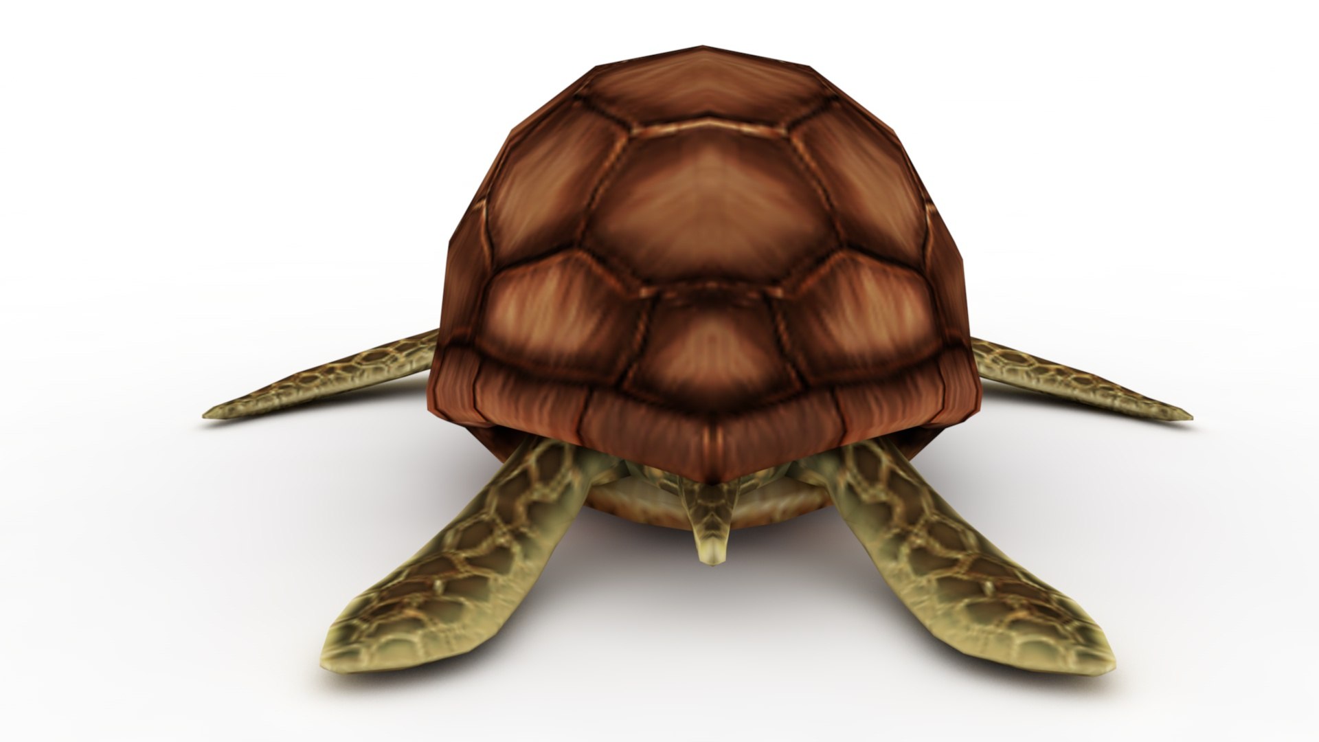 Sea Turtle Model - TurboSquid 1910561