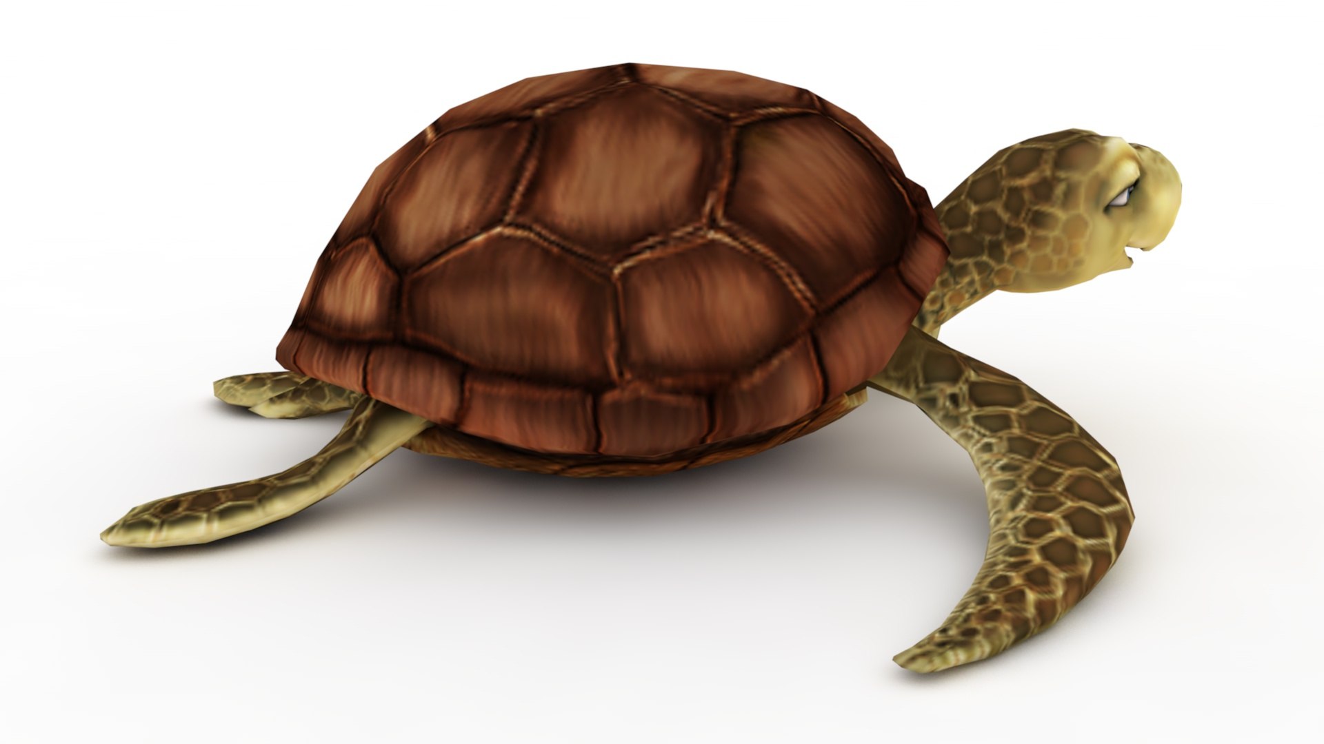 Sea Turtle Model - TurboSquid 1910561