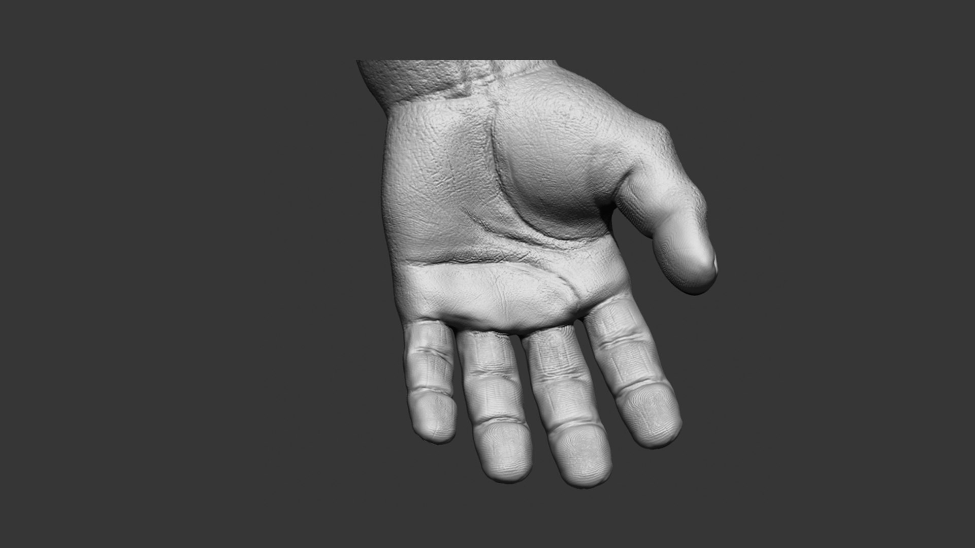 Hand Detalized Model - TurboSquid 1818061