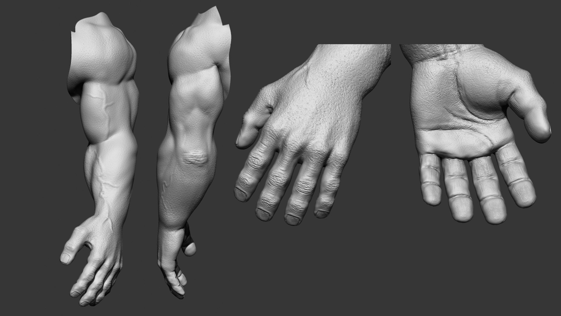 Hand Detalized Model - TurboSquid 1818061