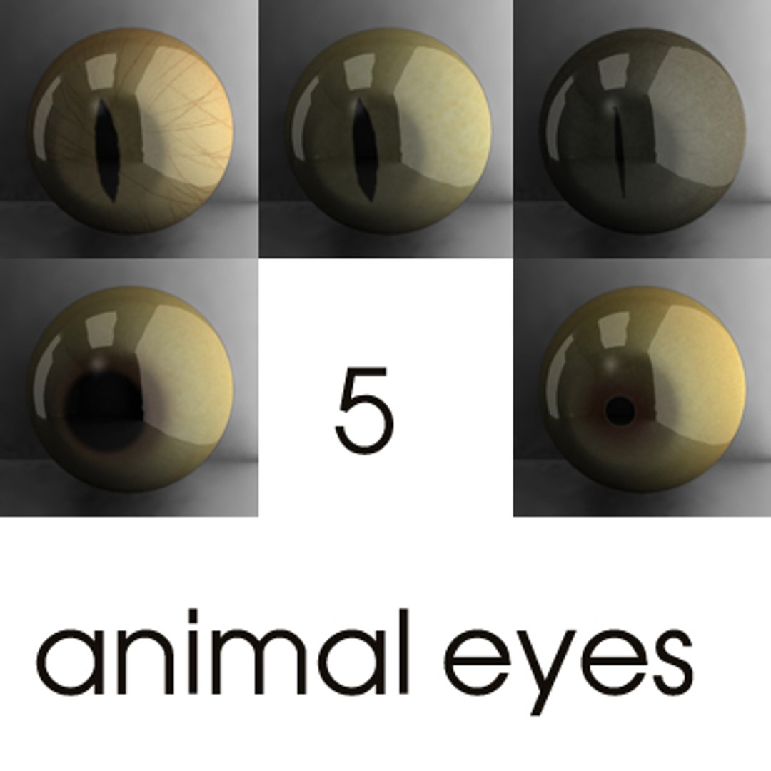 3d Animal Eyes