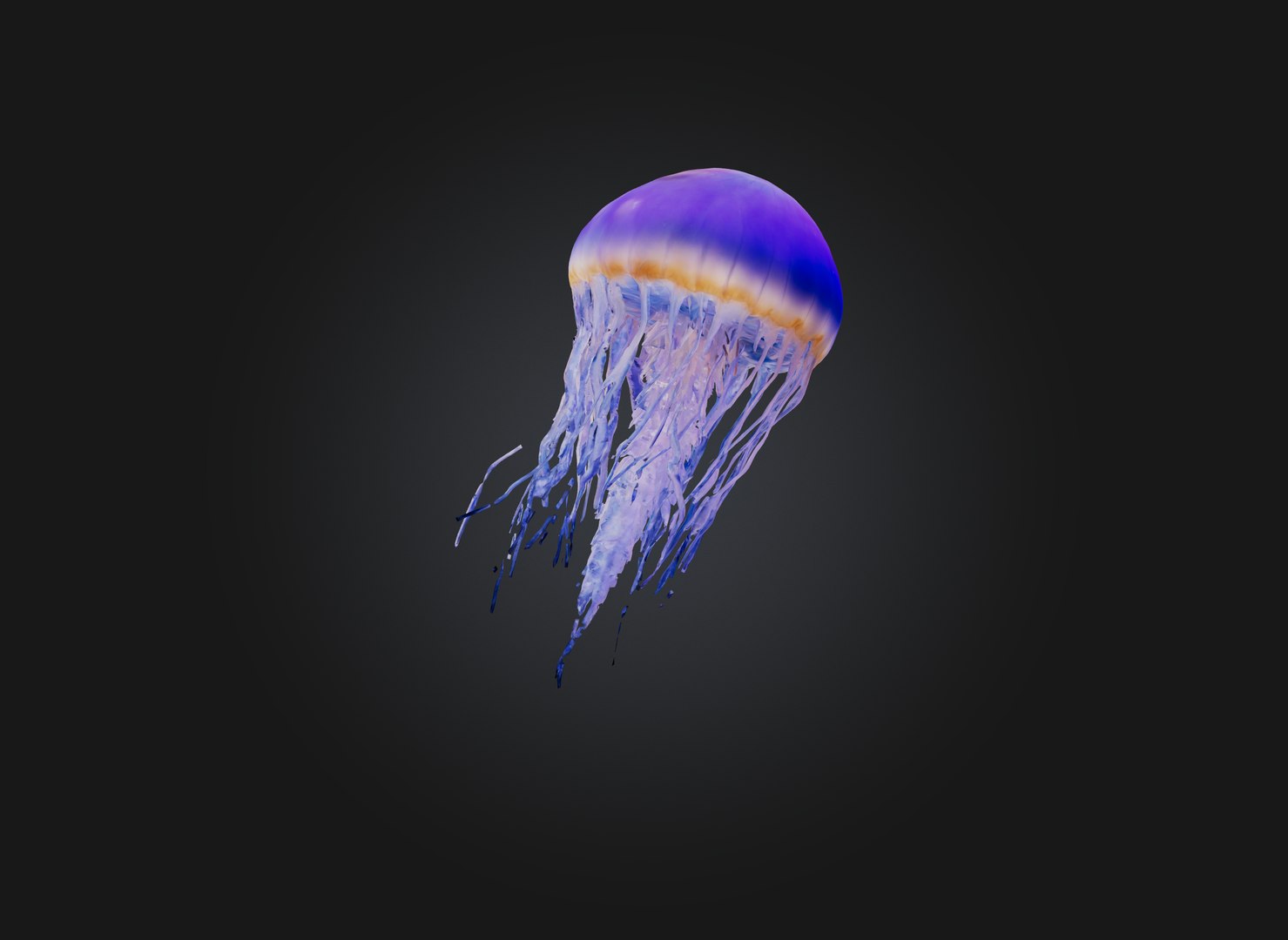 Jellyfish Model 3D - TurboSquid 2288381