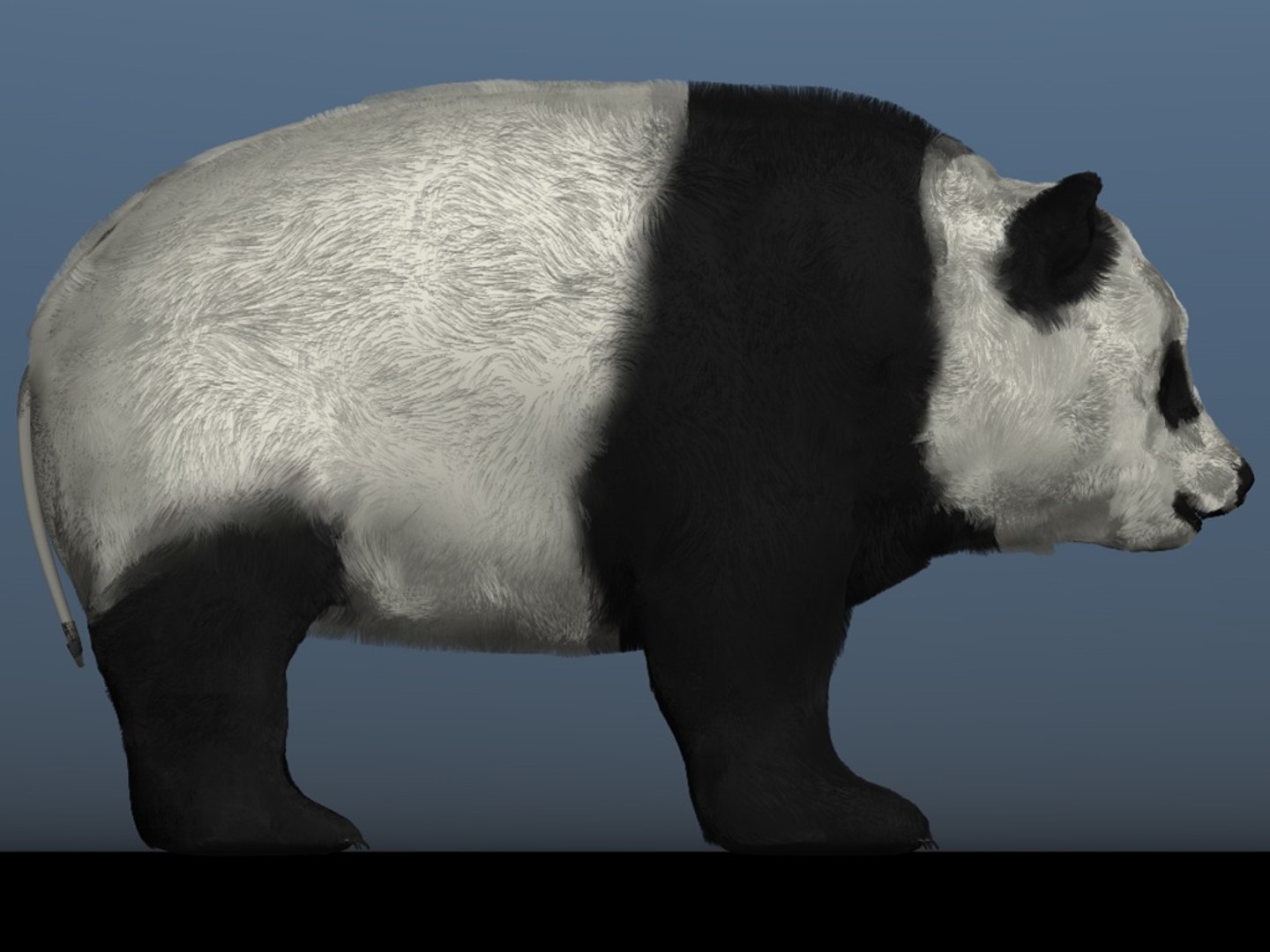 Panda Bear C4d