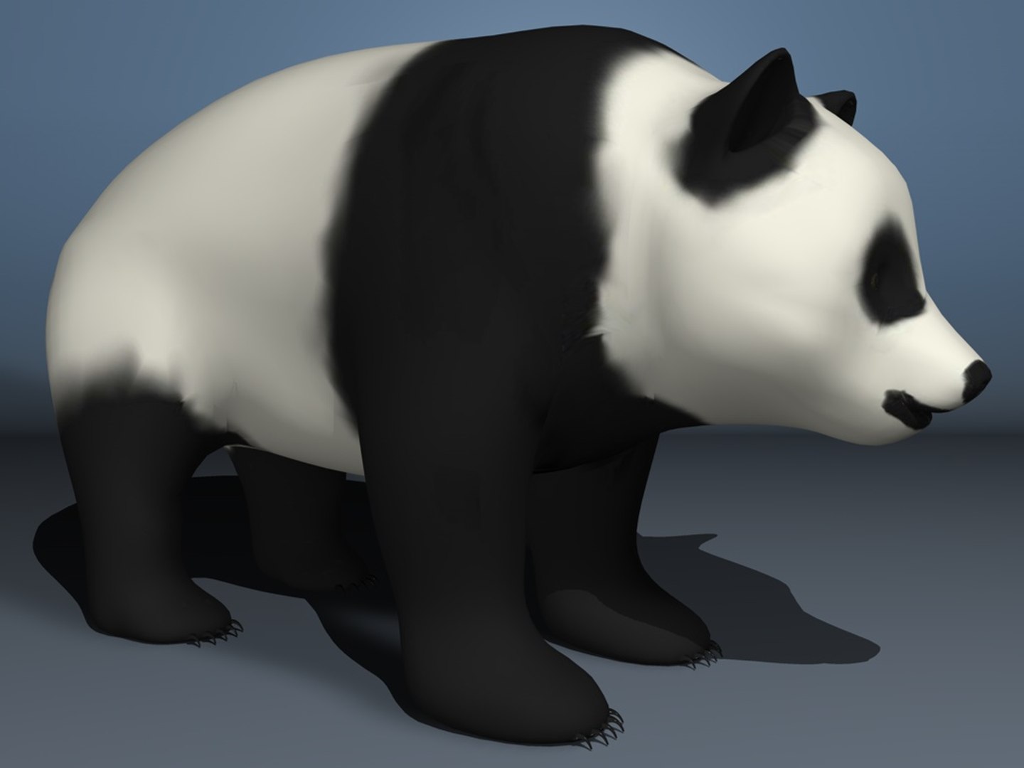 Panda Bear C4d