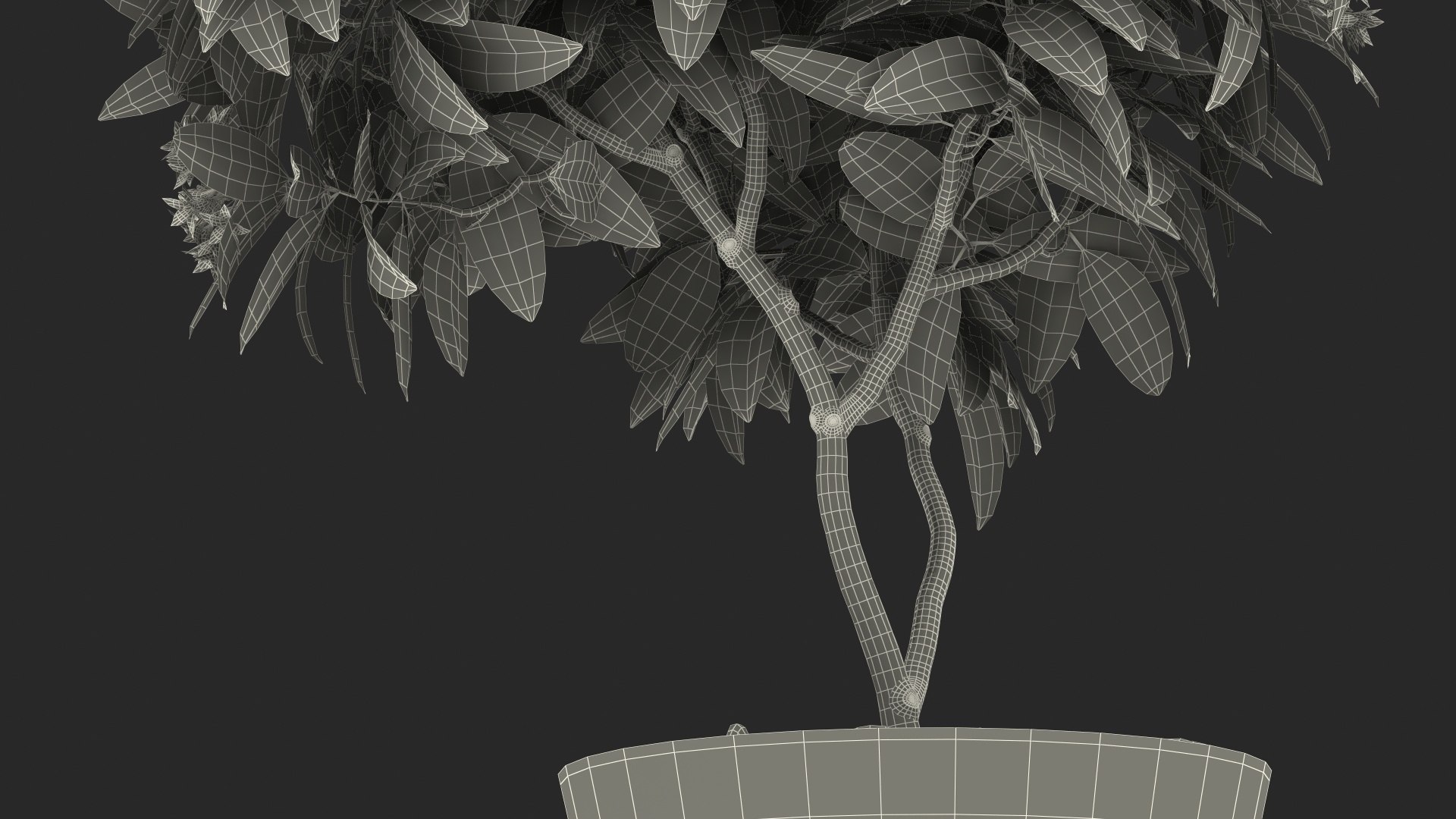 Flower Pot Plumeria Red 3D Model - TurboSquid 1493265