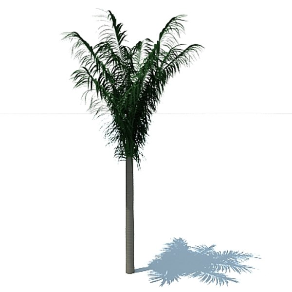 palm tree 3d model