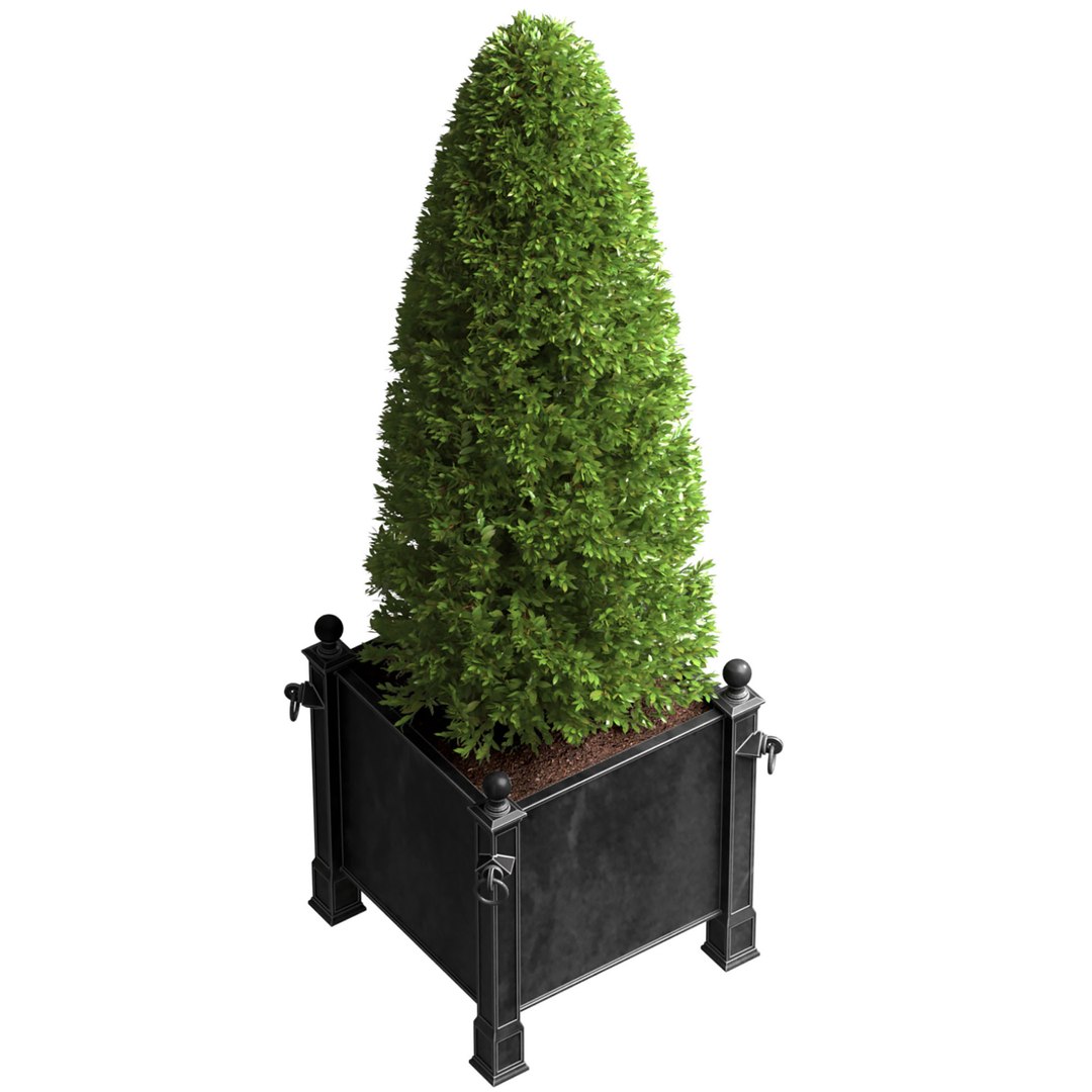 3D Decorative tree in garden planter RH ArtDeco Front Patio ...