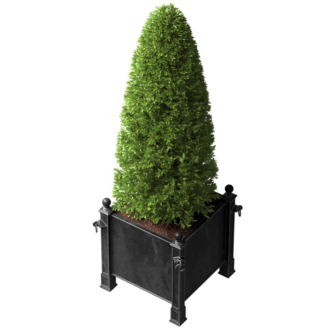 3D Decorative tree in garden planter RH ArtDeco Front Patio ...