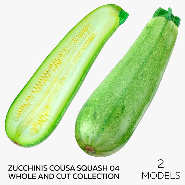 3D Squash Models | TurboSquid